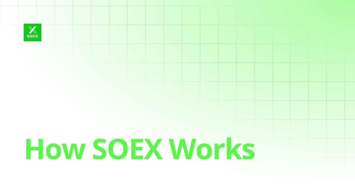 How SOEX Works | SOEX DOCS